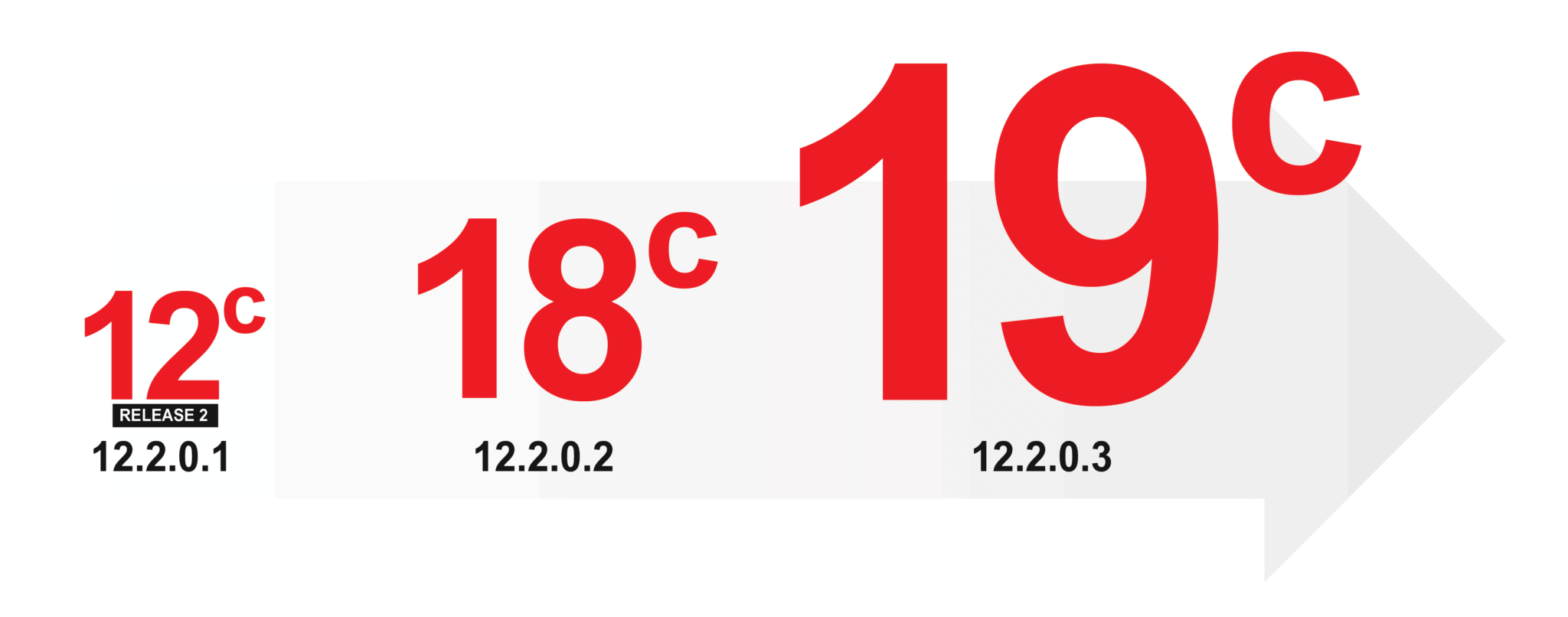 Oracle Database 19c With EBS R12 | Everything You Must Know